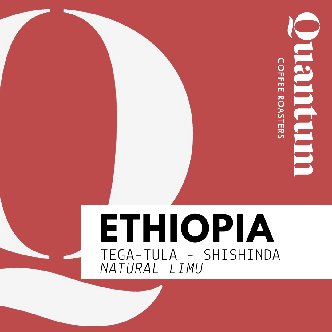 ETHIOPIA LIMU, Tega-Tula Shishinda – Quantum Coffee Roasters